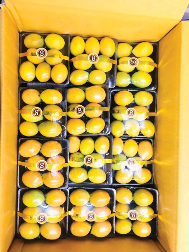 Marium Plum (Mayong Chit)